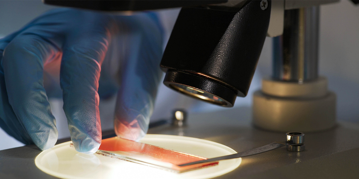 Hematopathology: What You Need to Know