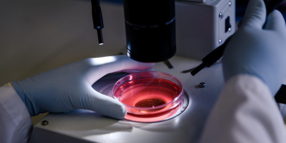 What are the Different Types of Pathology? - SBMF